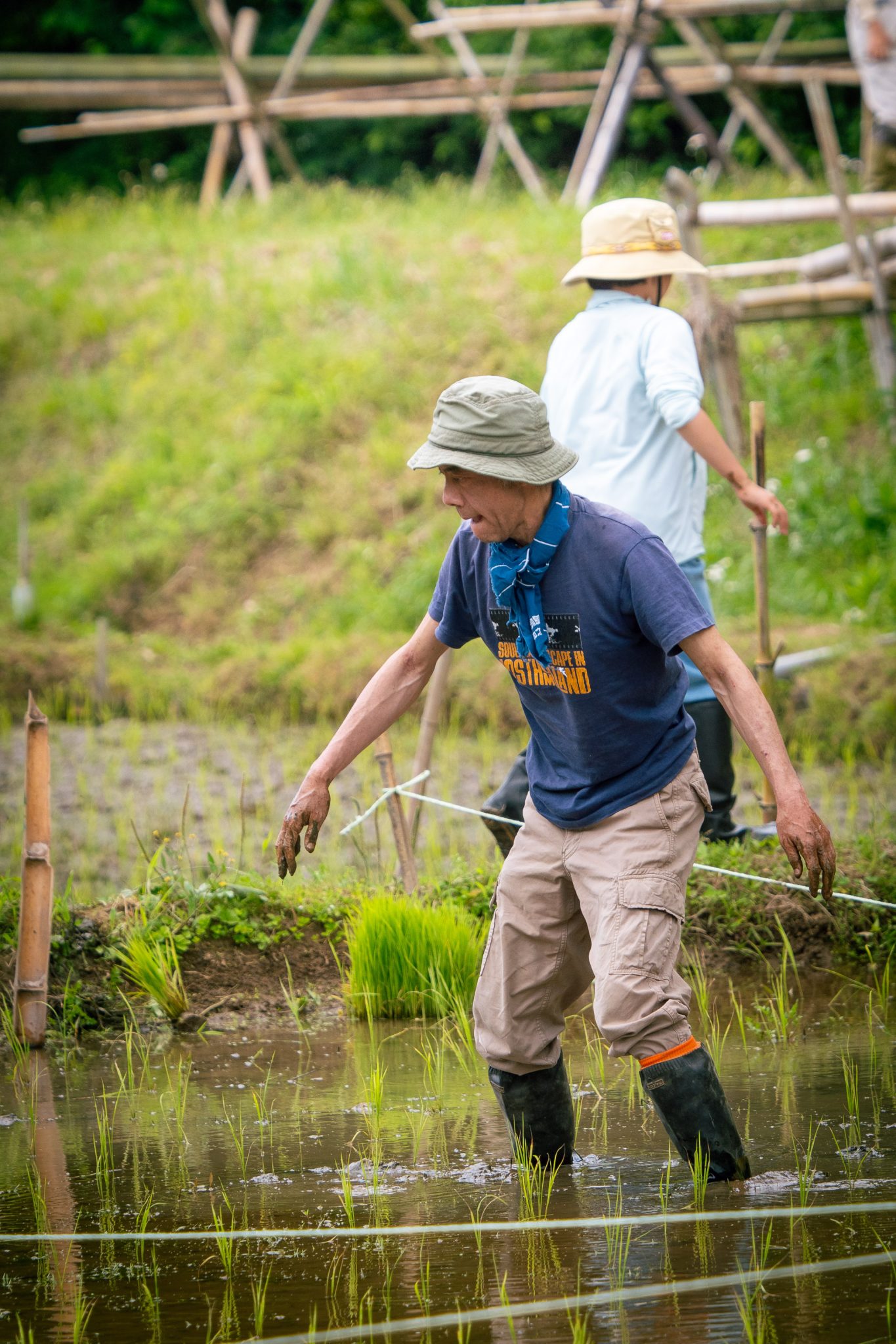 SOSA Project | 自給へ、自信へ、自立へ