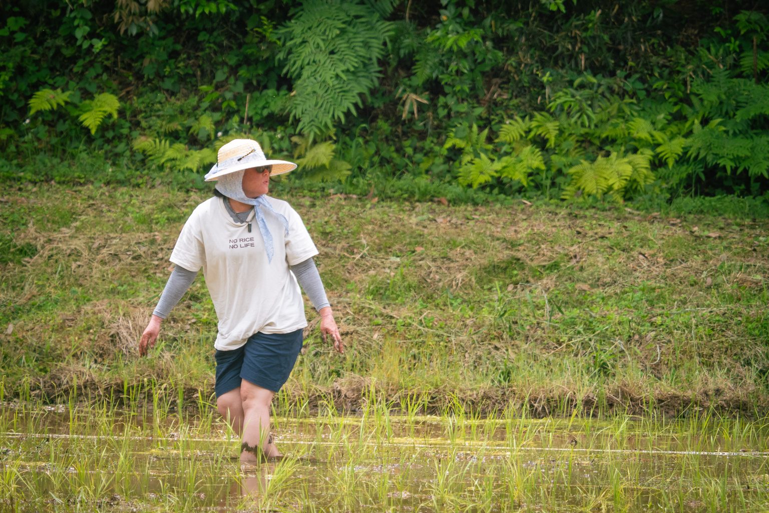 SOSA Project | 自給へ、自信へ、自立へ