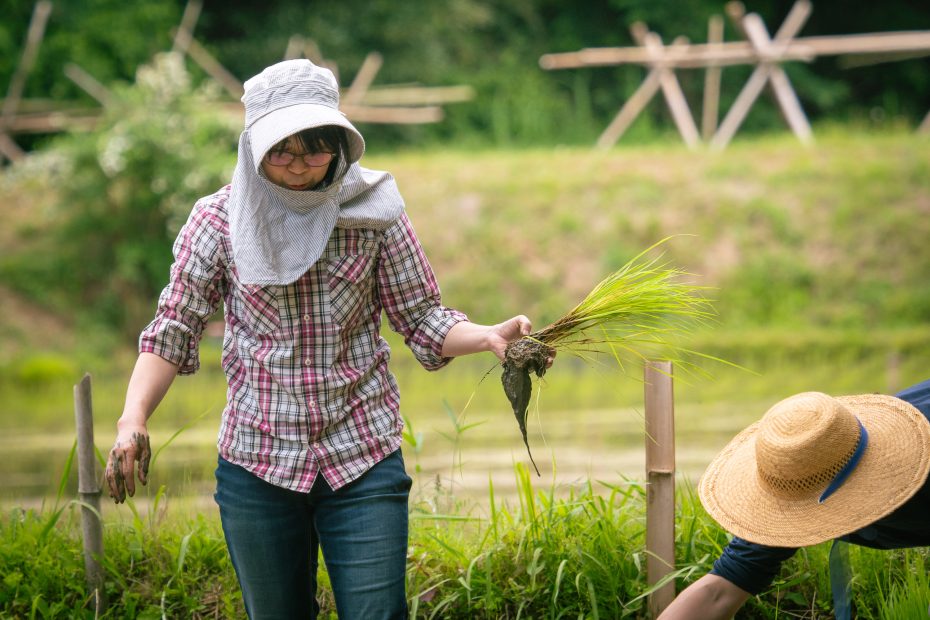 SOSA Project | 自給へ、自信へ、自立へ