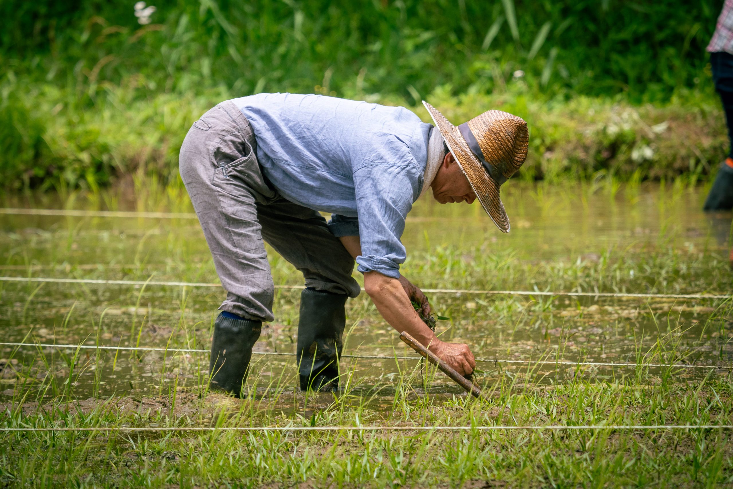 SOSA Project | 自給へ、自信へ、自立へ