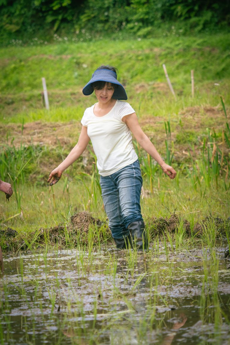 SOSA Project | 自給へ、自信へ、自立へ