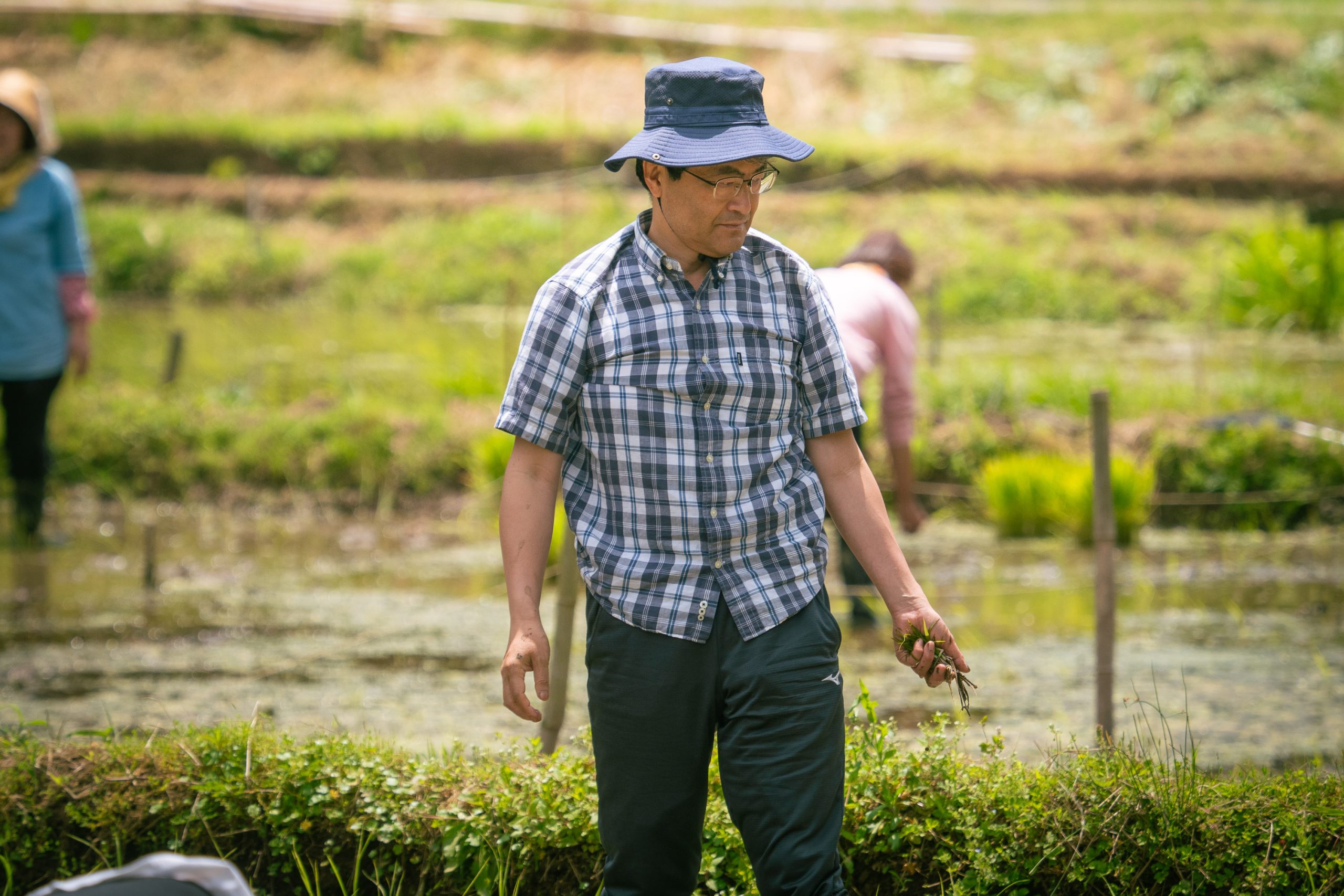 SOSA Project | 自給へ、自信へ、自立へ