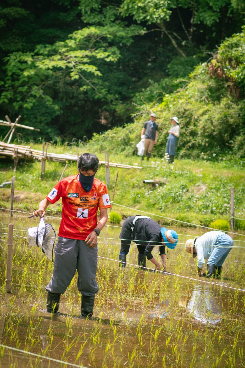 SOSA Project | 自給へ、自信へ、自立へ